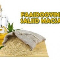 FAA'IDOOYINKA CAAFIMAAD EE SALIID MACSARADA