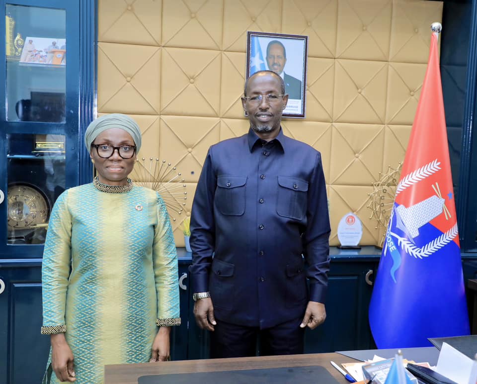 Guddoomiye Madaale oo QM kala hadlay Amniga Muqdisho iyo Barakacayaasha