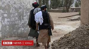 Mogadishu Times Somali Daily News Online